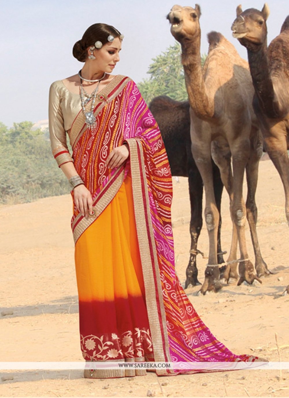 Multi Colour Georgette Designer Saree