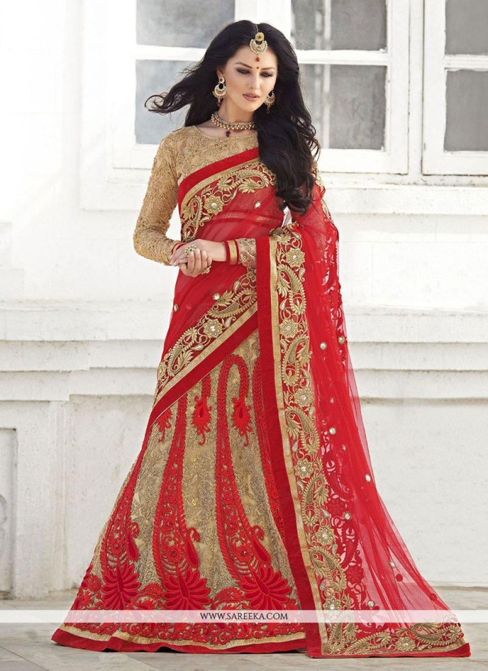 Red Net Lehenga Saree