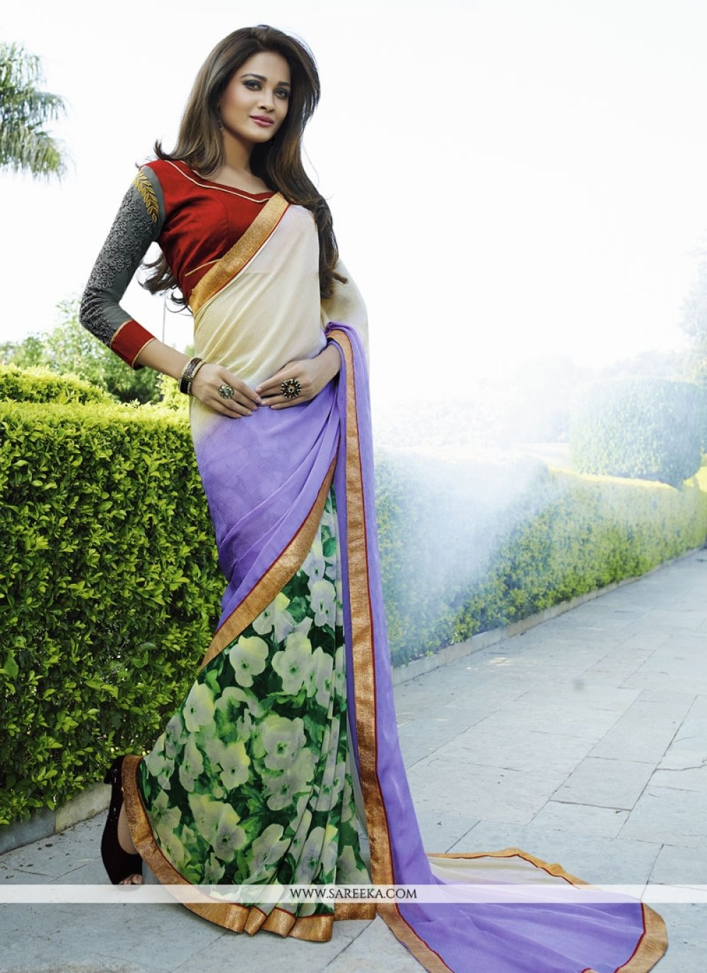 Multi Colour Designer Saree